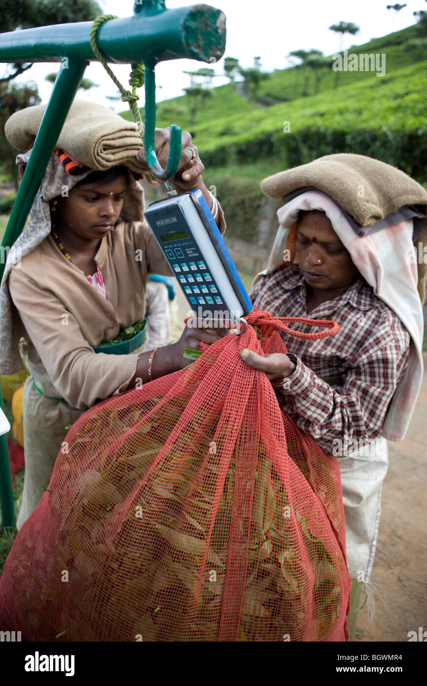 Factory workers india hi-res stock photography and images - Alamy