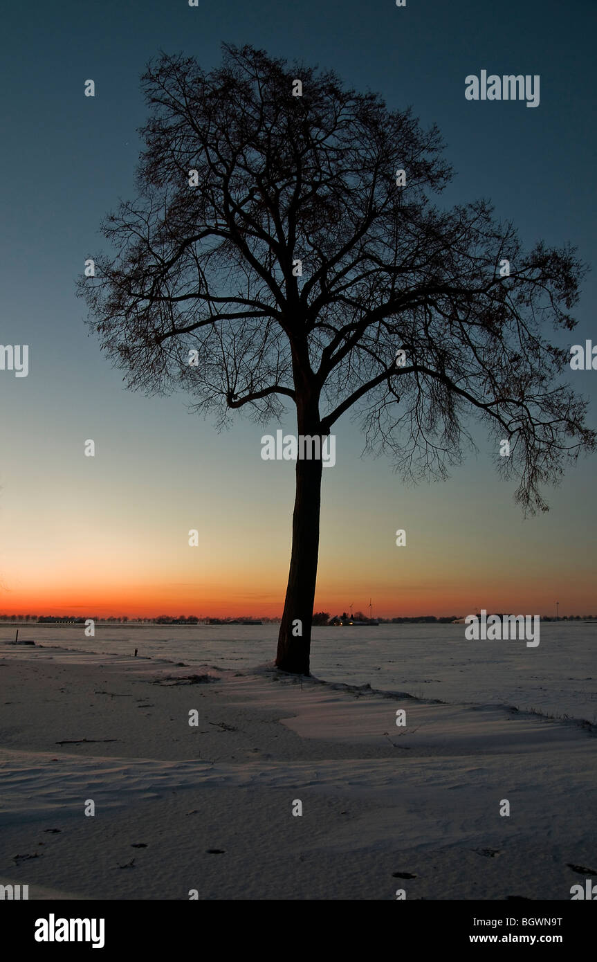 Aldekerk hi-res stock photography and images - Alamy