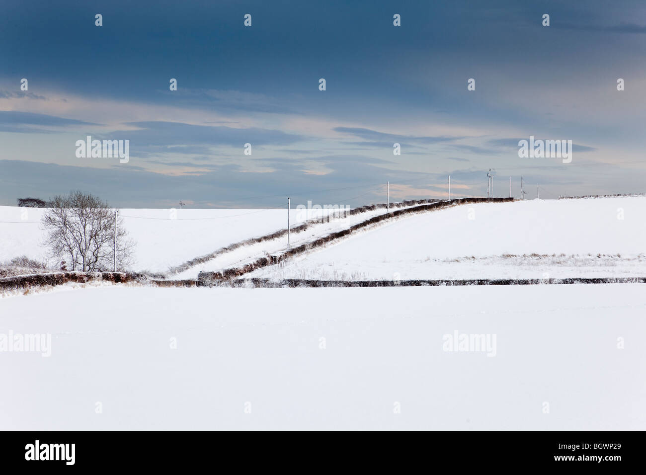 Snowy fields uk hi-res stock photography and images - Alamy
