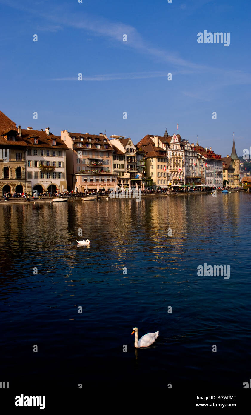 Famous skyline with swans at lake in Lucerne Switzerland Luzern Stock ...