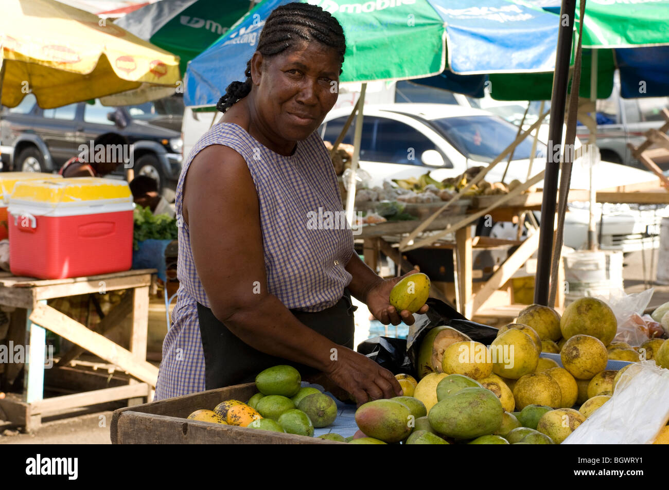 A woman selling mangoes in the market in Castries, St Lucia, The ...