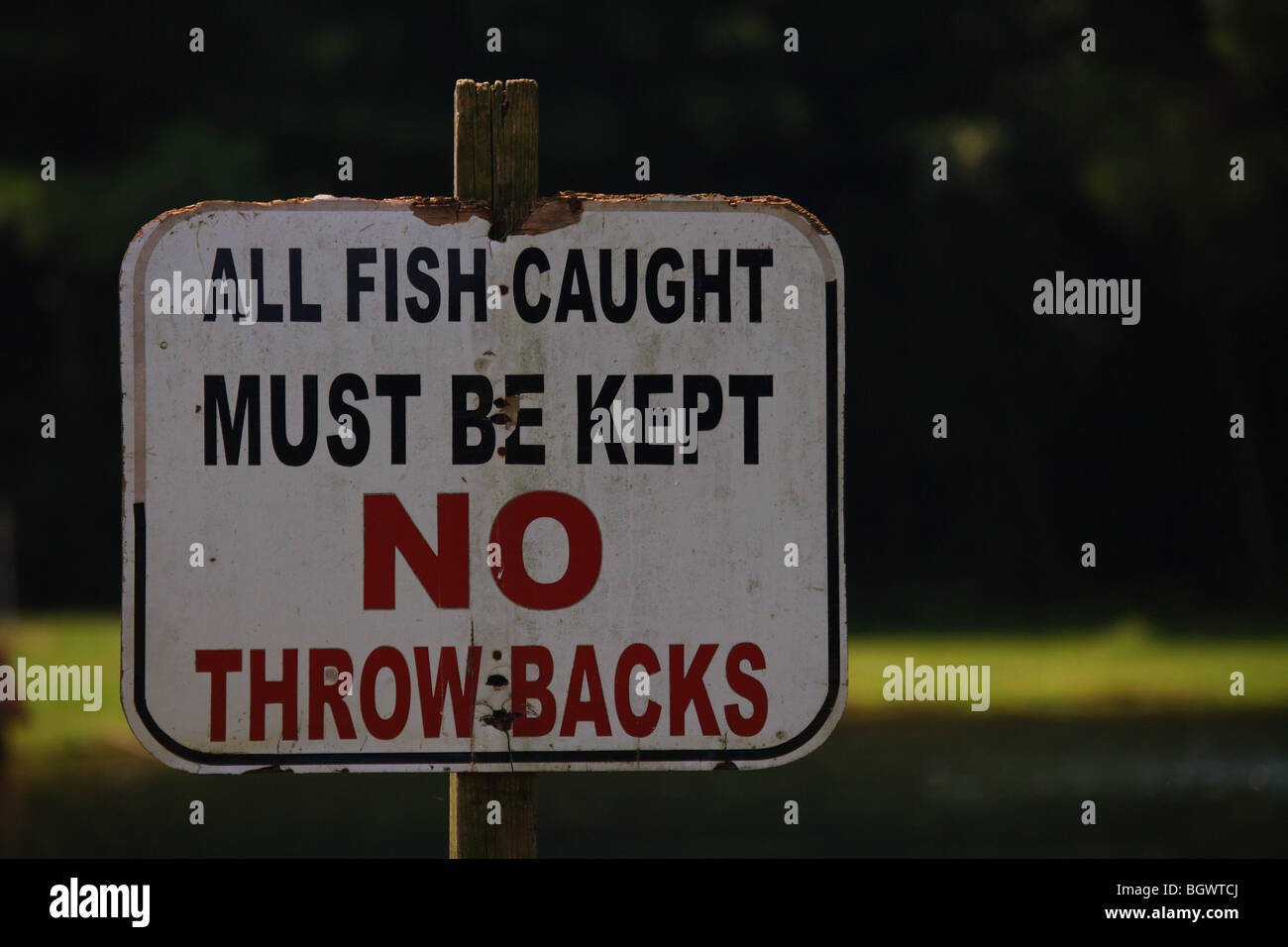 "ALL FISH MUST BE KEPT SIGN" HUMOROUS SIGN NEAR RIVER Stock Photo - Alamy