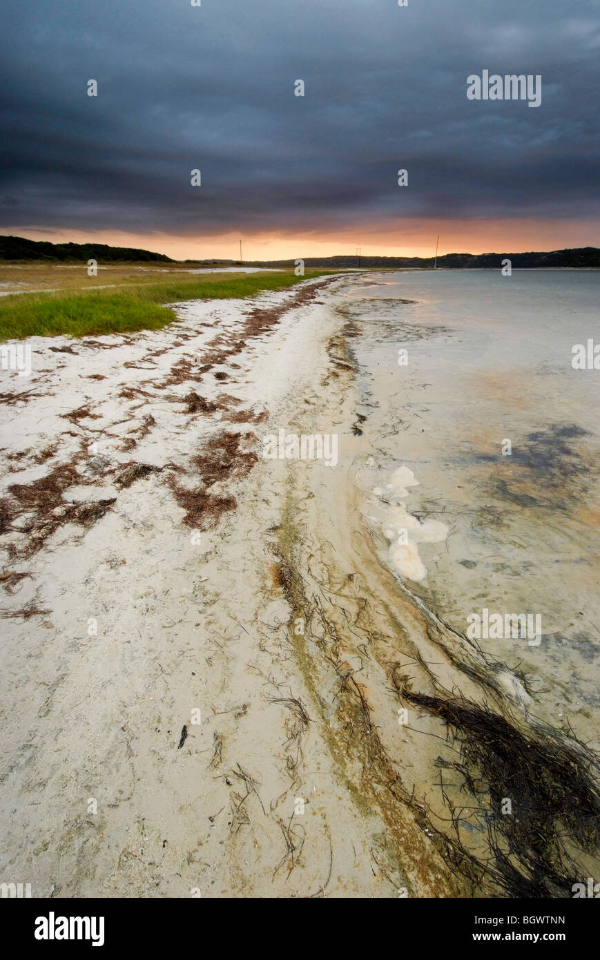 Beline hi-res stock photography and images - Alamy