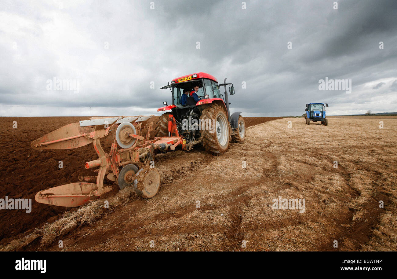 Tractor in a field Stock Photo - Alamy