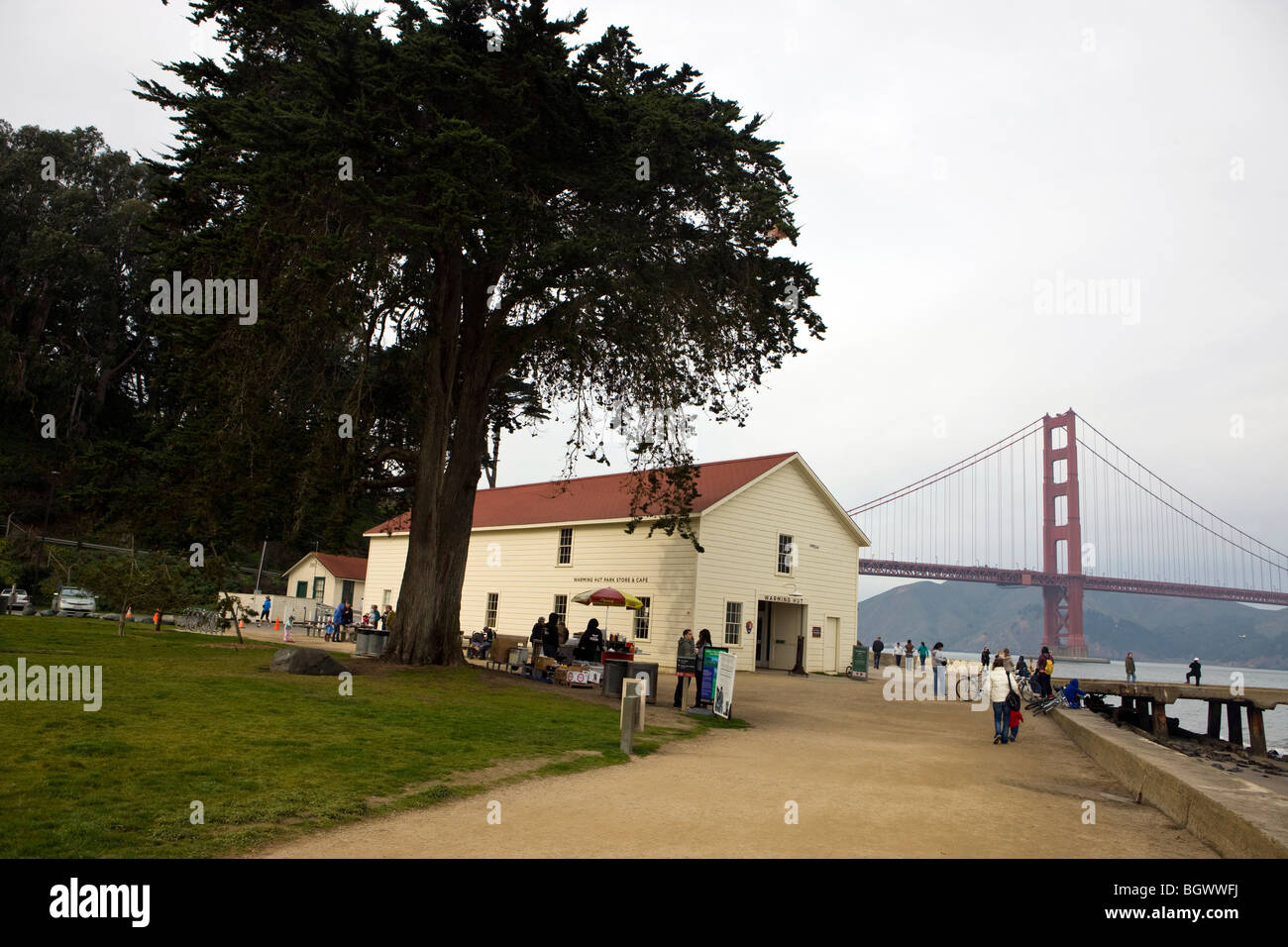 A large tree next to the Warming Hut with the Golden Gate Bridge in the ...