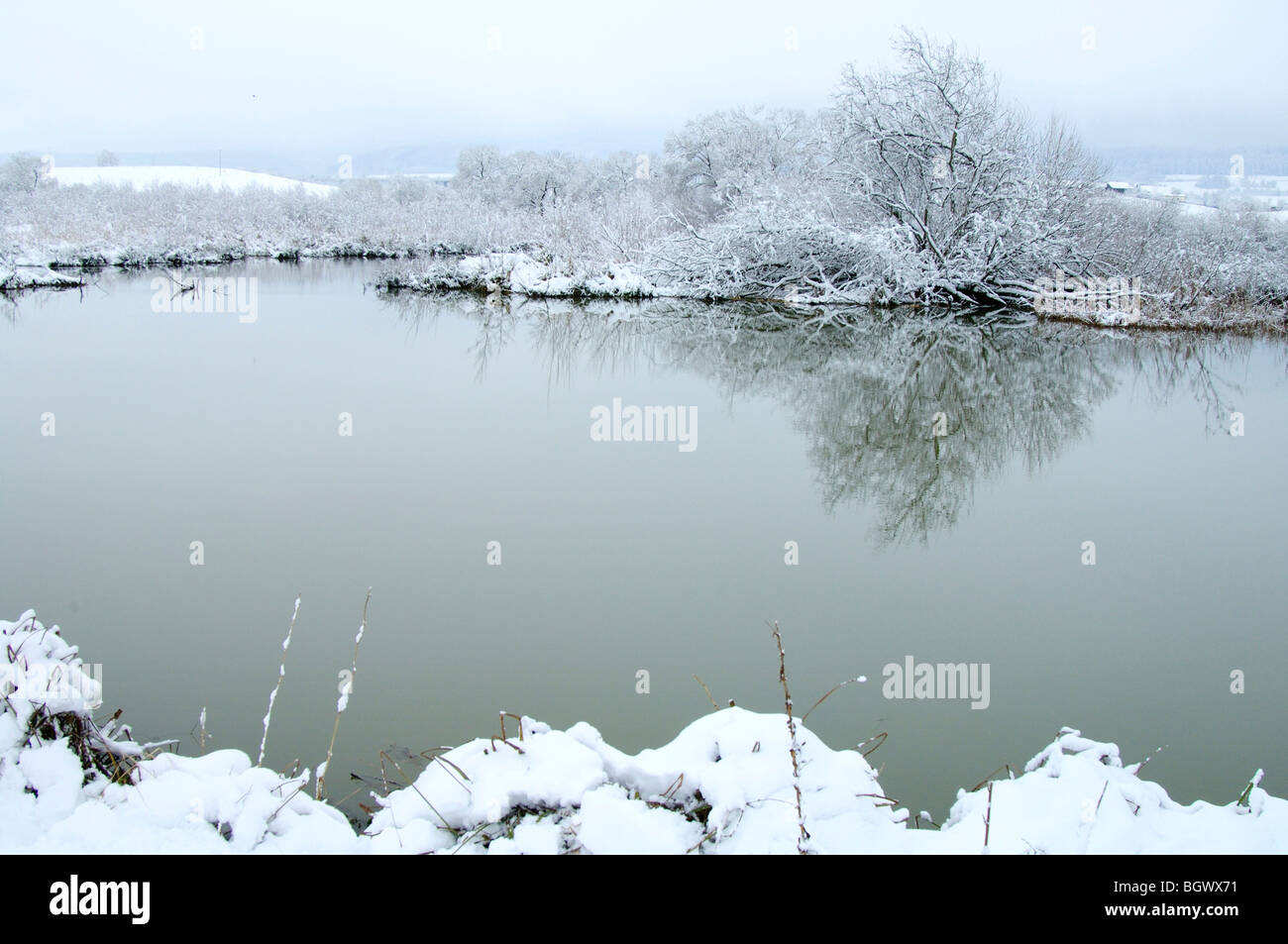 Bucher reservoir habitat Stock Photo - Alamy