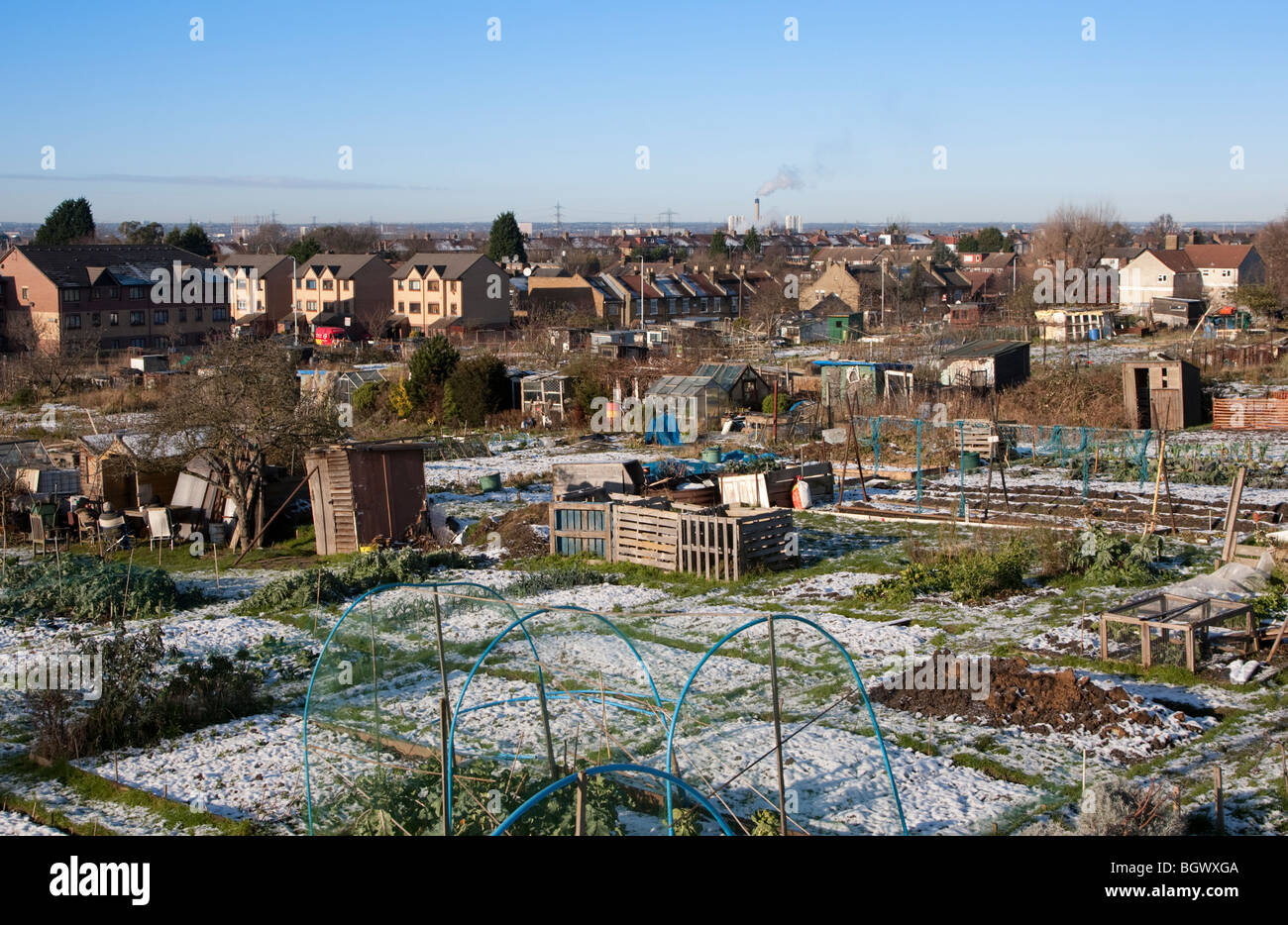 Allotments in winter London Stock Photo - Alamy