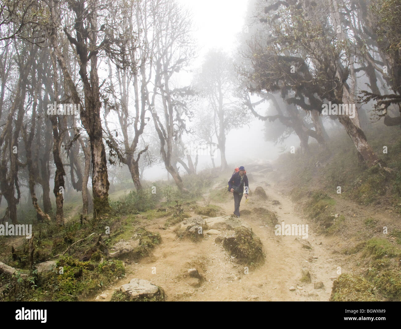 Tamur river hi-res stock photography and images - Alamy
