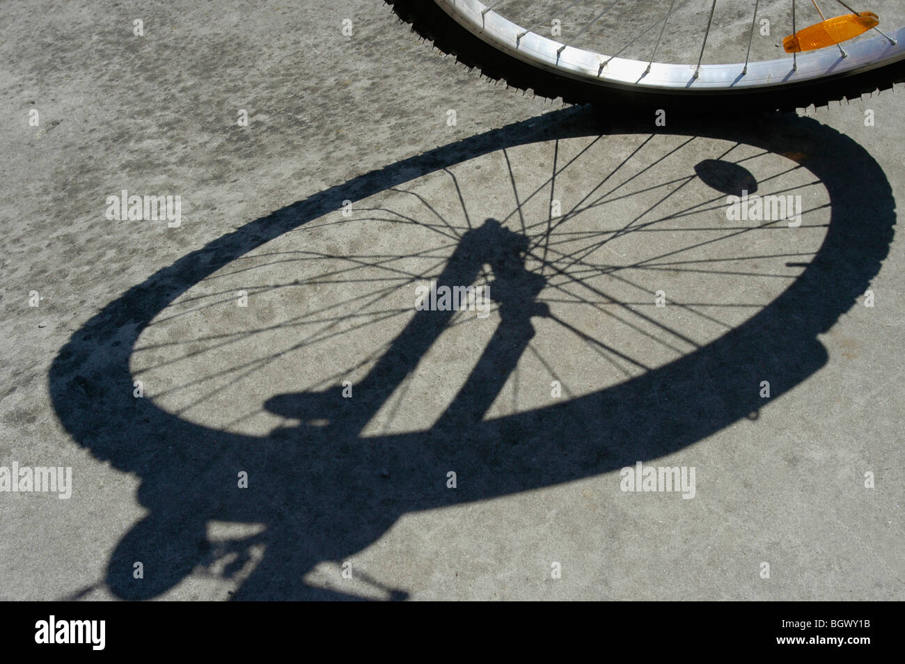 Front wheel of a bicycle Stock Photo - Alamy