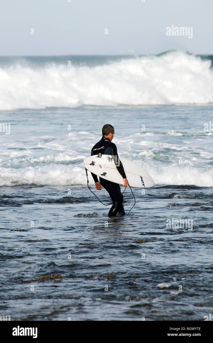 surfer surfing surf surfs up wave waves riding ride sea board surfboard ...