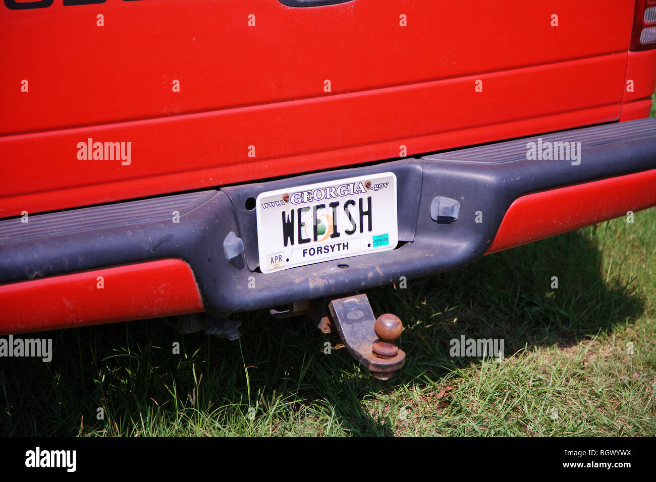 GEORGIA LICENSE PLATE "WEFISH" FISHING FANATIC ENTHUSIAST Stock Photo ...