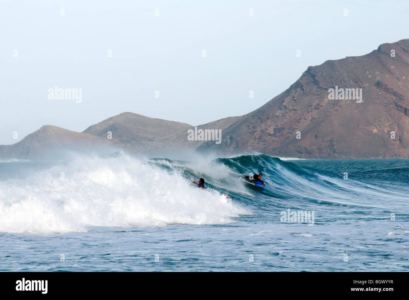 surfer surfing surf surfs up wave waves riding ride sea board surfboard ...