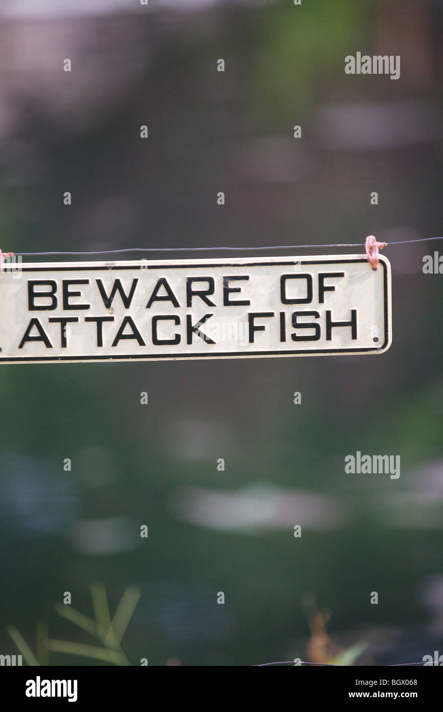 HUMOROUS SIGN "BEWARE OF ATTACK FISH" NEAR FISHING POND Stock Photo - Alamy