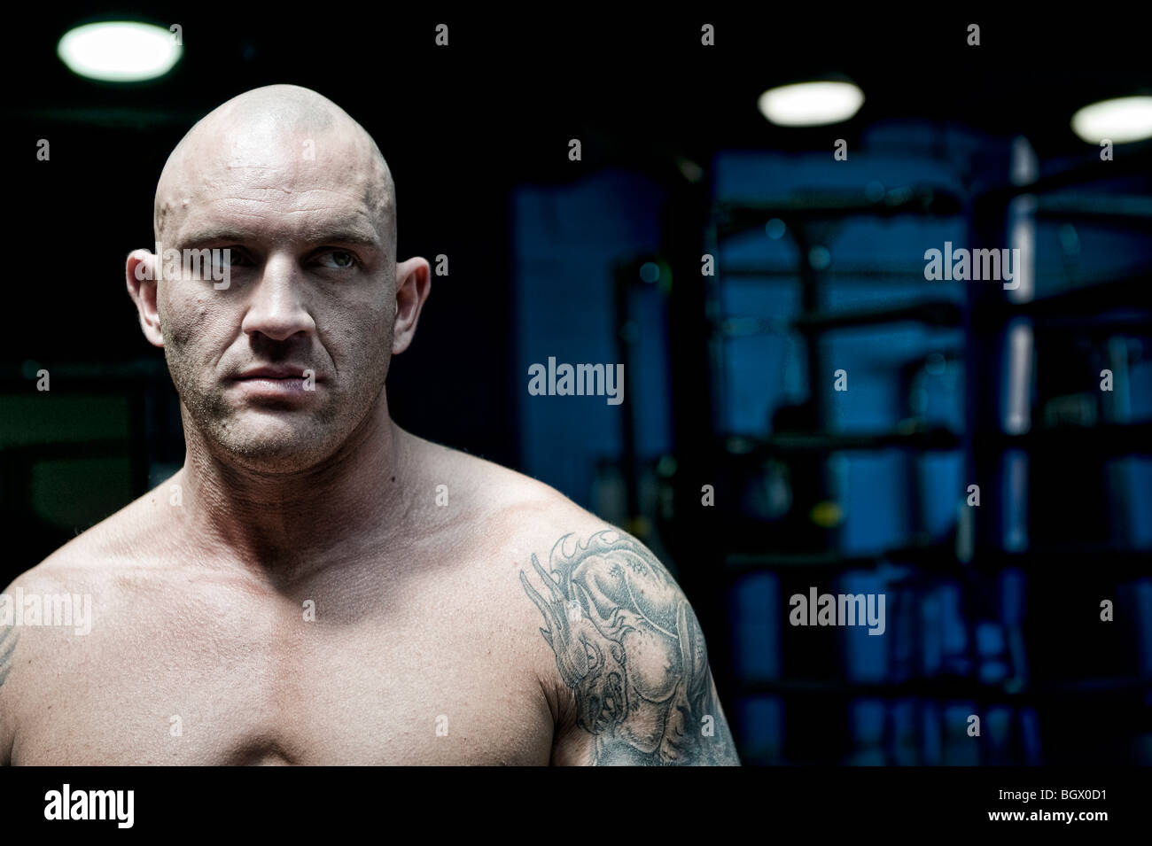 Ultimate muscle man hi-res stock photography and images - Alamy