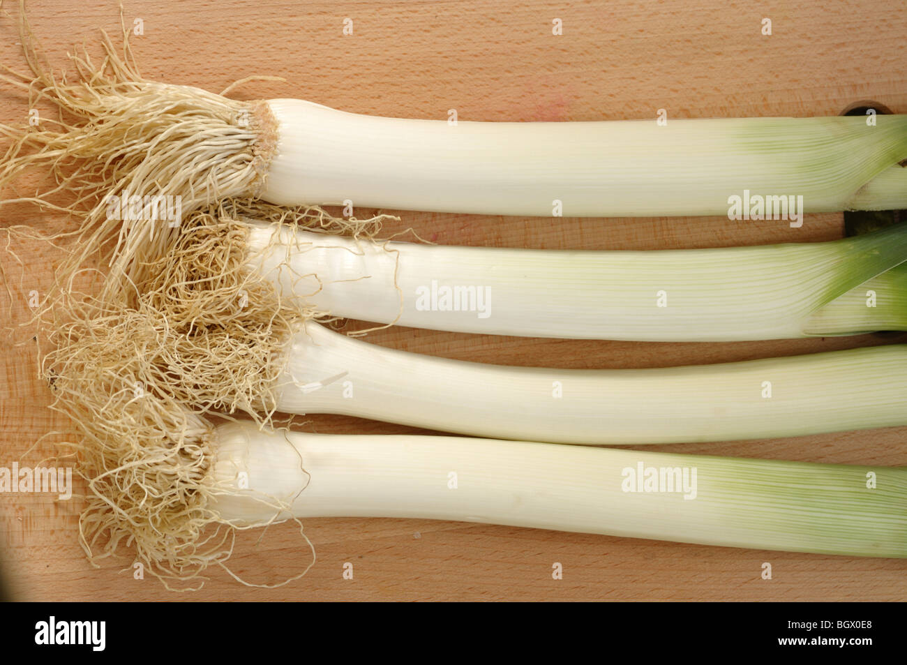 Fresh leek with the roots Stock Photo - Alamy