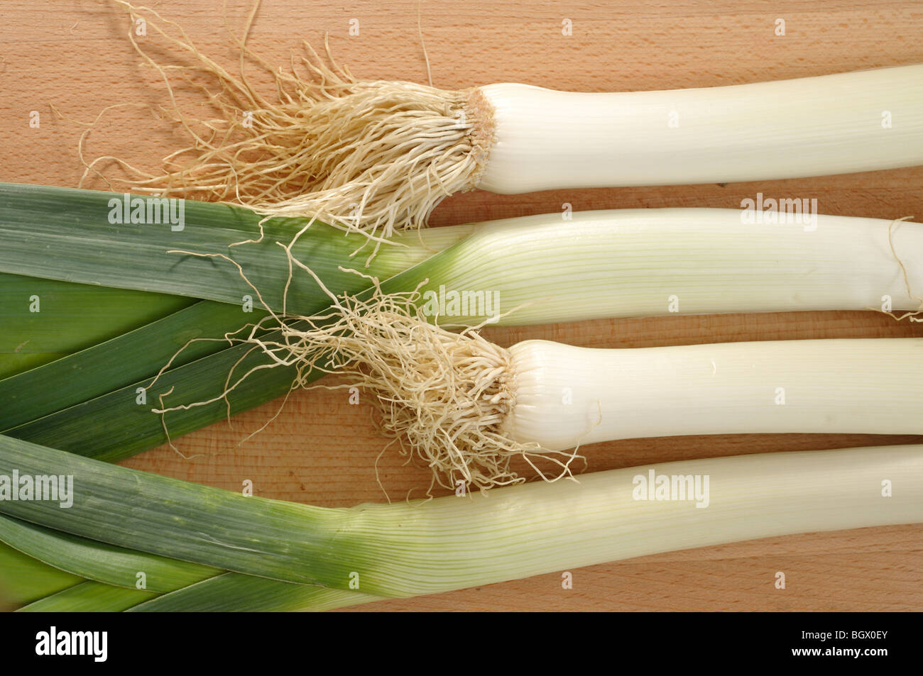 Leek roots hi-res stock photography and images - Alamy