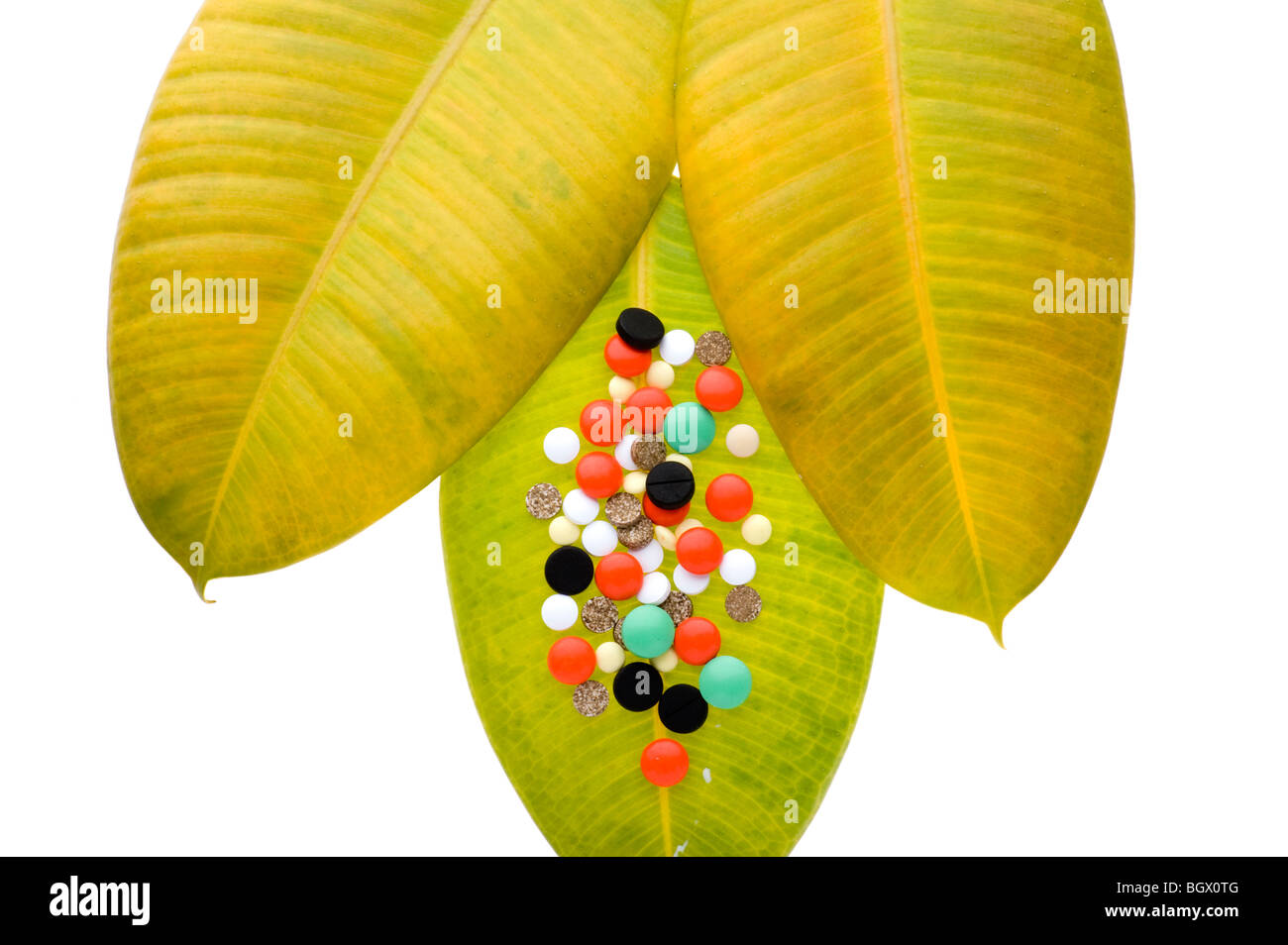 object on white - Medical Tablets on leaf Stock Photo - Alamy