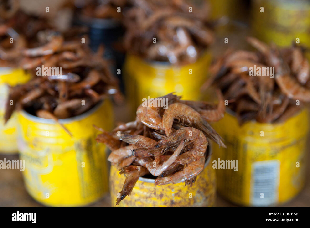 The Mercado Central in the Baixa district, dried shrimp, Maputo ...