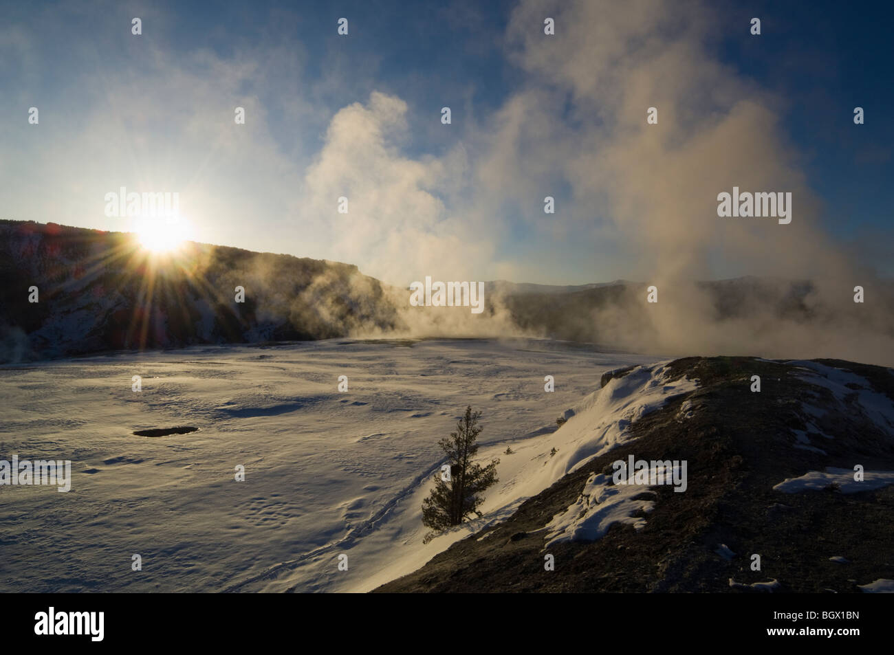 Steam rises from thermal springs on the Main Terrace providing a ...