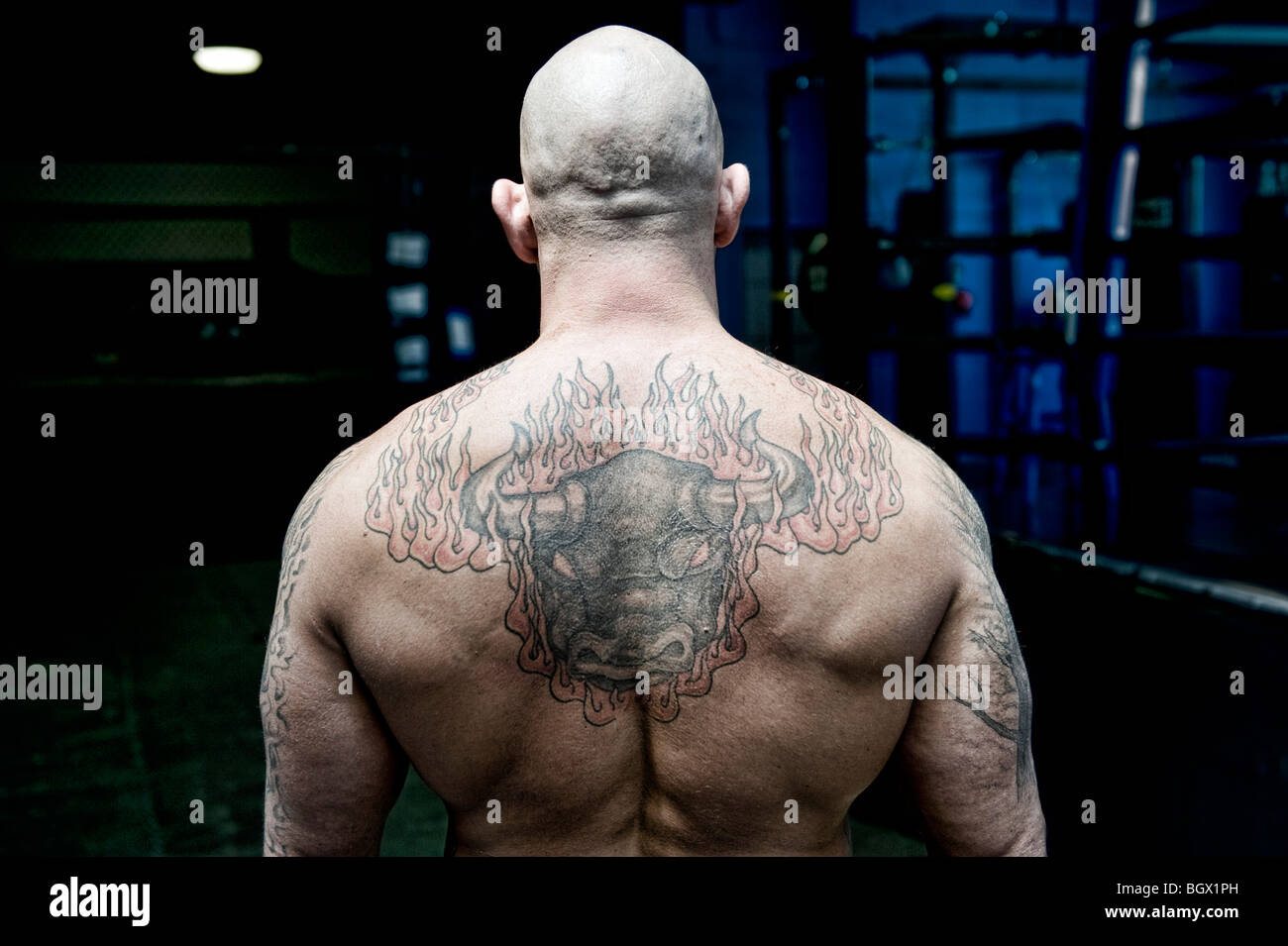 A portrait of a UFC fighter in training Stock Photo - Alamy