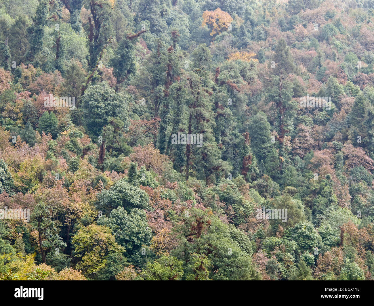 Helambu circuit hi-res stock photography and images - Alamy