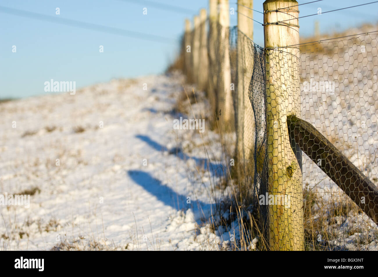 Row of wooden post and chicken wire to form a fence or barrier Stock ...