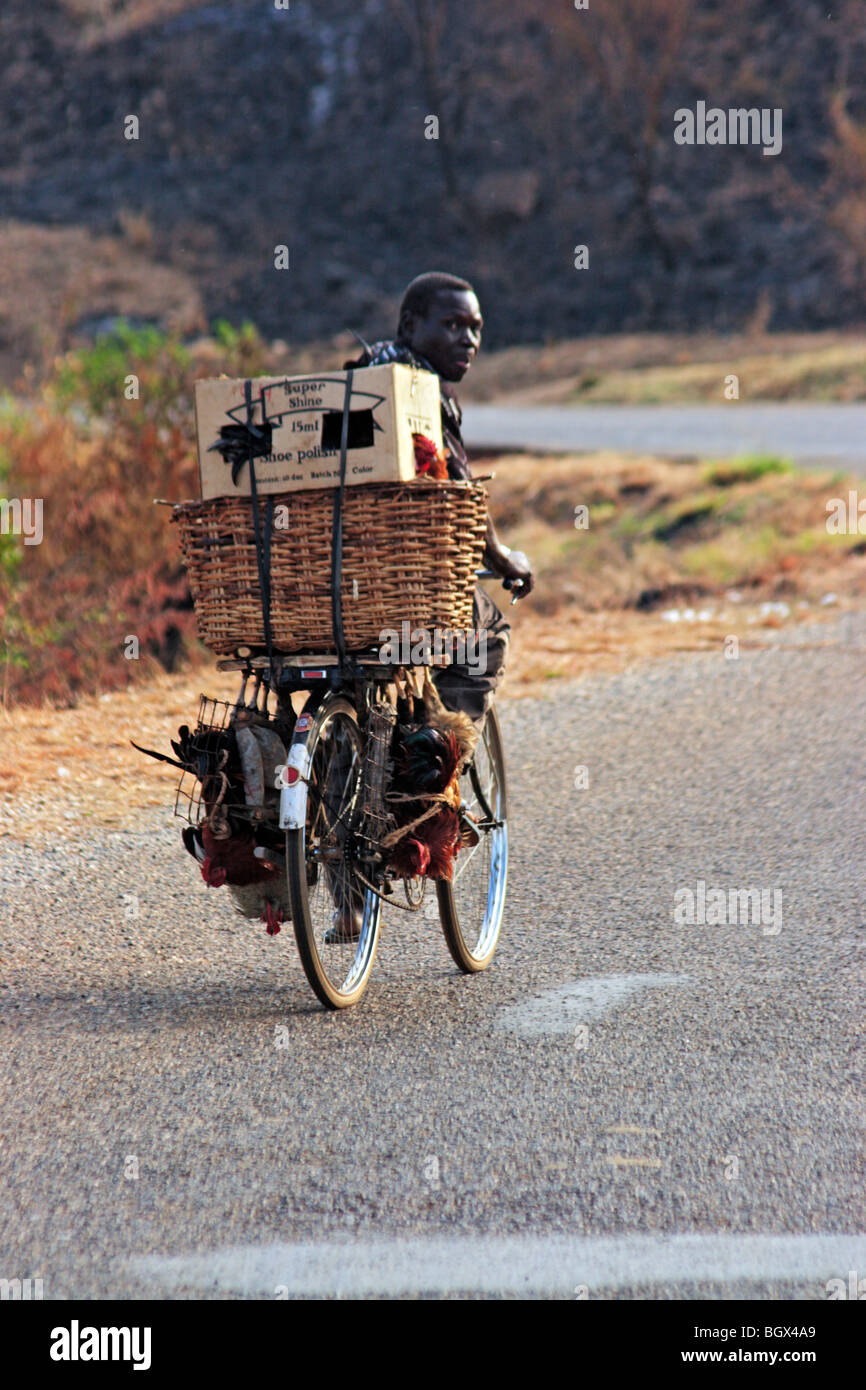 Kimbala hi-res stock photography and images - Alamy