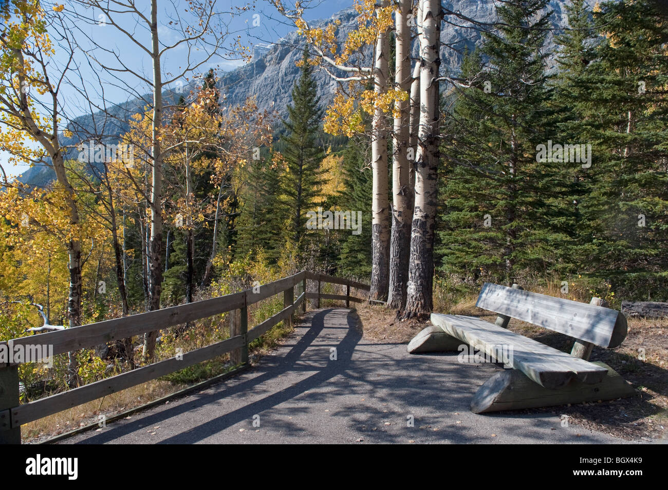 Bankhead canada hi-res stock photography and images - Alamy