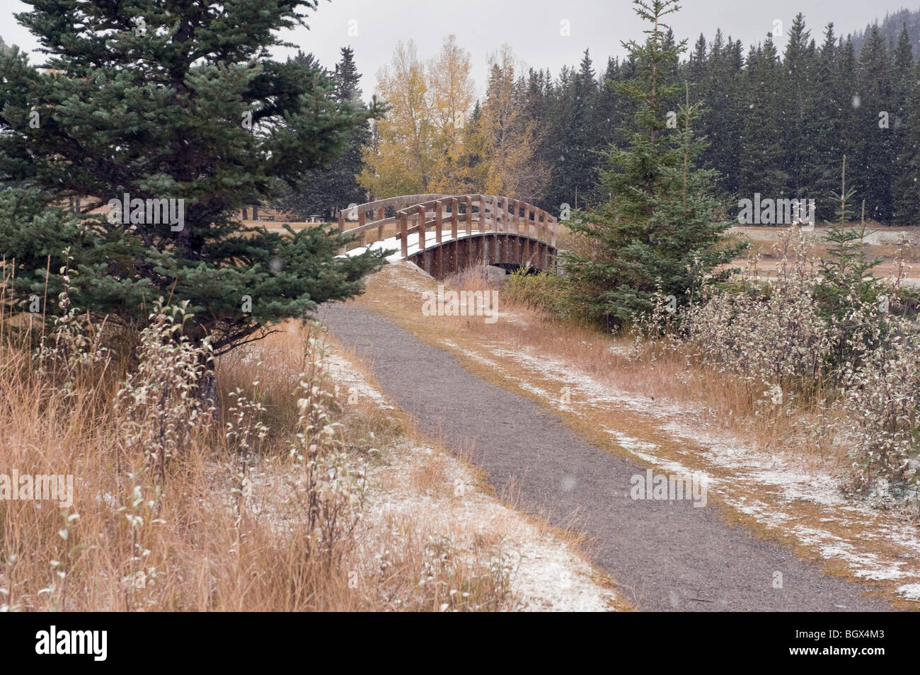 Footbridge at cascade ponds hi-res stock photography and images - Alamy