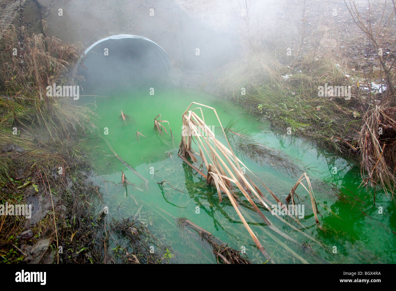 Polluted water hi-res stock photography and images - Alamy