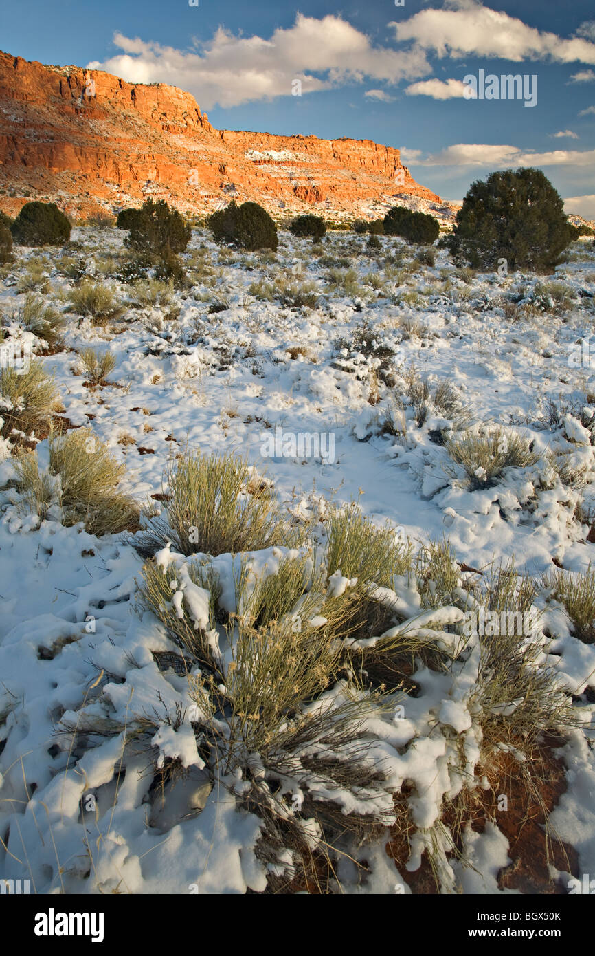 Arizona desert snow hi-res stock photography and images - Alamy