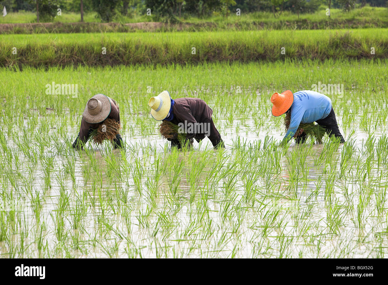 Isan people hi-res stock photography and images - Alamy