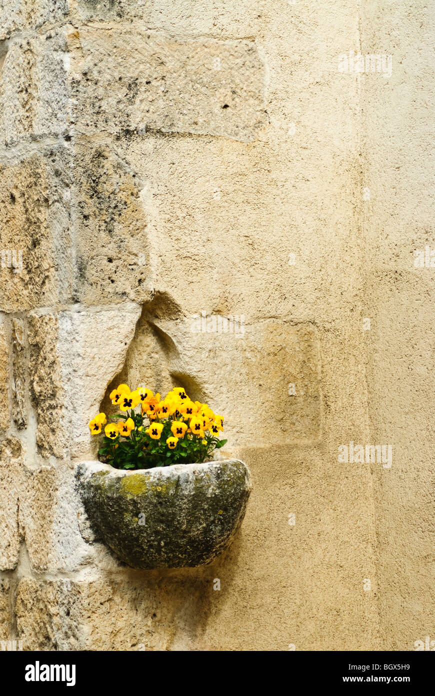 Le cep beaune france hi-res stock photography and images - Alamy