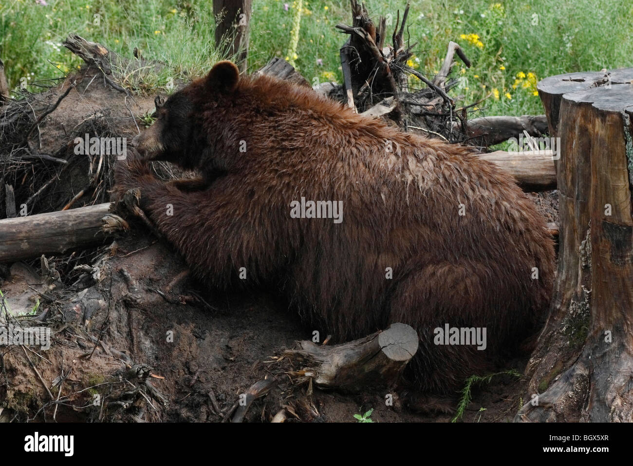 State Park at Upper Peninsula Michigan MI overhead from above close up ...