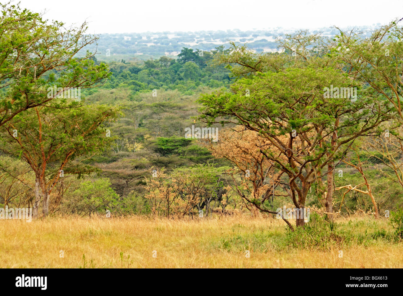 Ishasha River, Queen Elizabeth National Park, Uganda, East Africa Stock ...