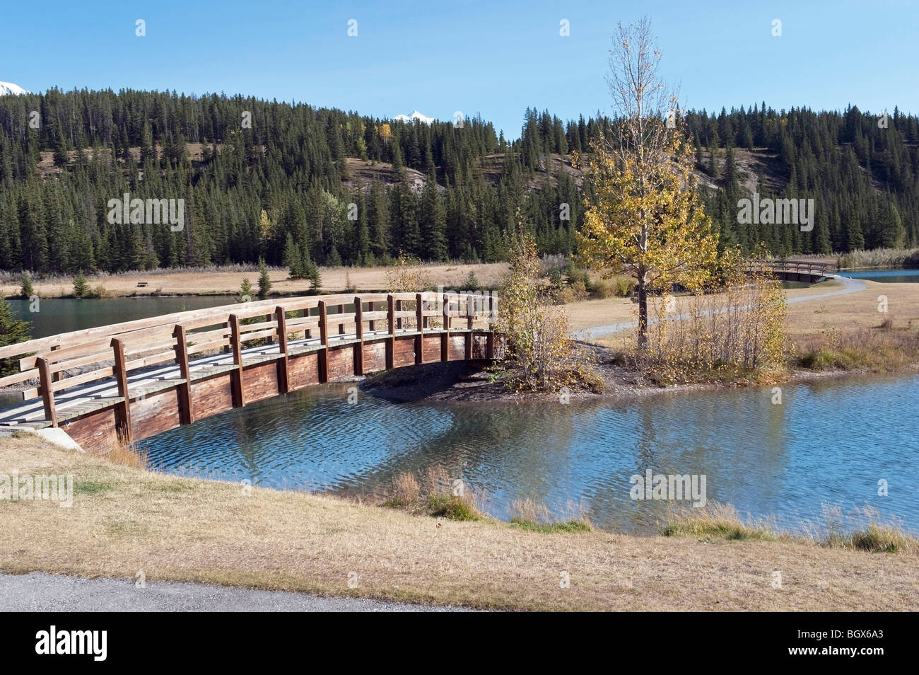 Footbridge at Cascade Ponds, Banff Park, Banff, Alberta, Canada Stock ...