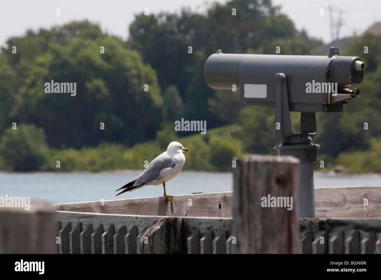 Seaside binoculars hi-res stock photography and images - Alamy