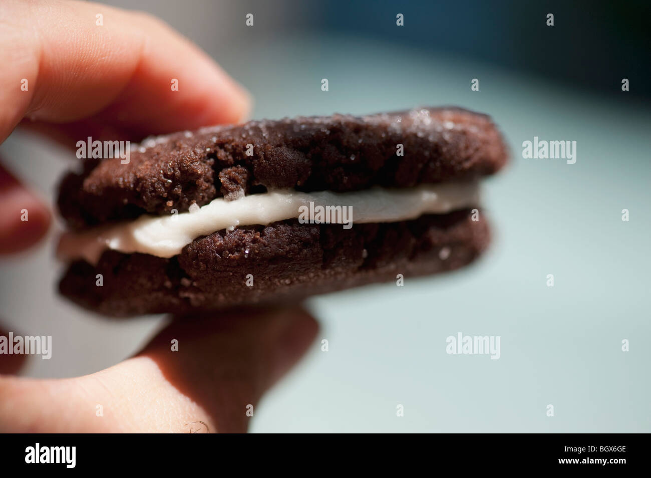 Bite bit hi-res stock photography and images - Alamy