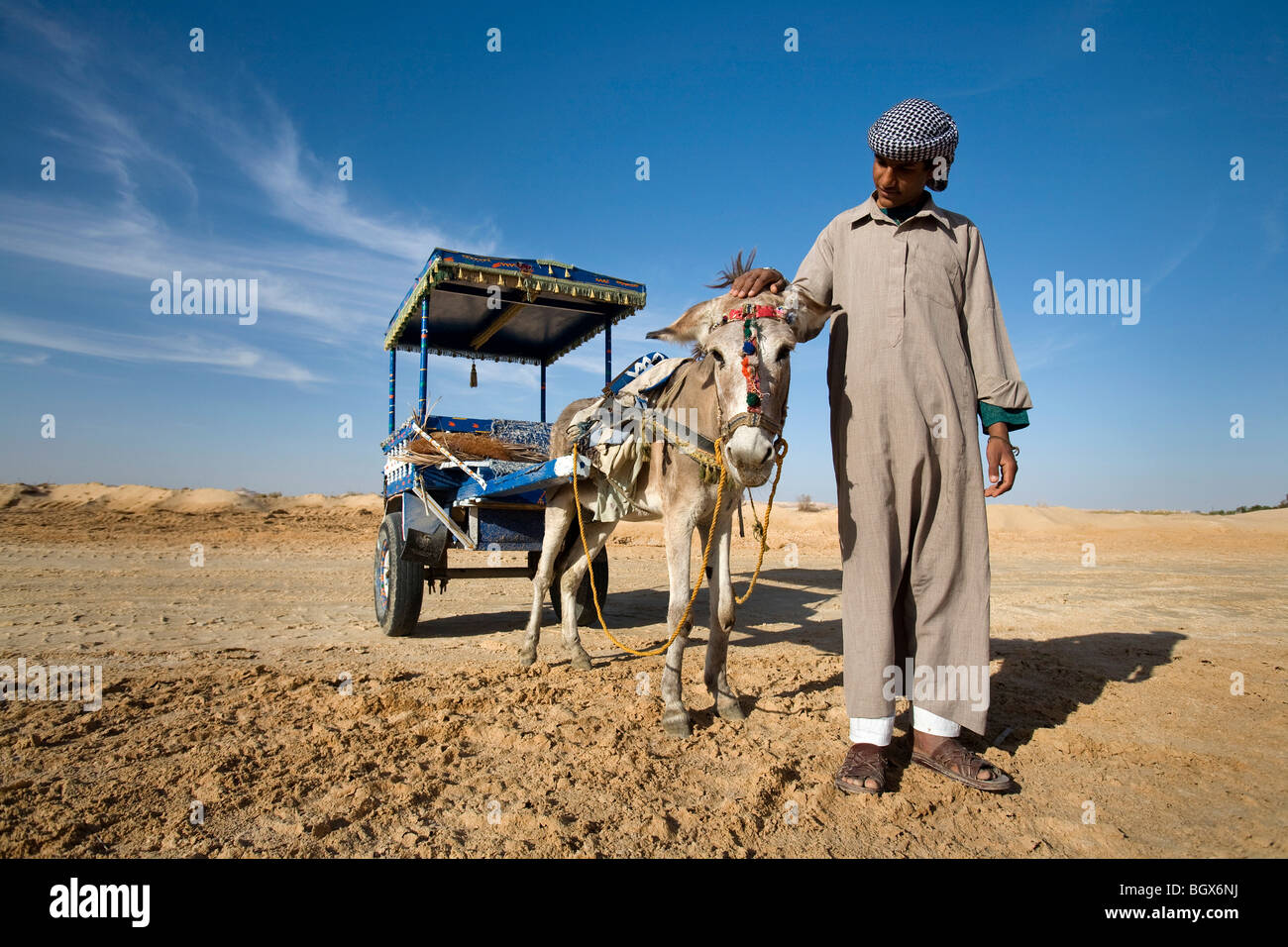 A man with a donkey and cart Stock Photo - Alamy