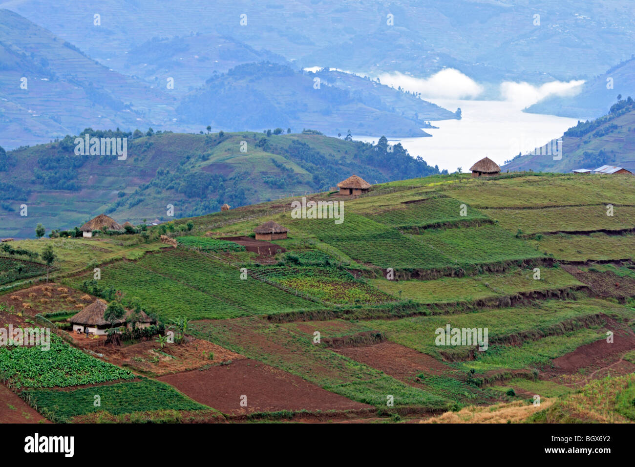 Lake Mburo National park, Uganda, Africa Stock Photo - Alamy
