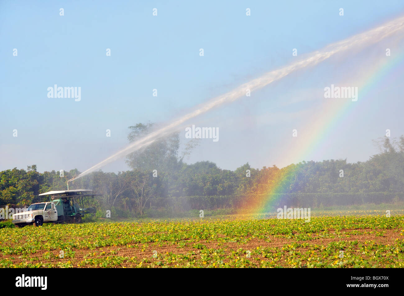 Truck watering farm field, Florida, USA Stock Photo - Alamy