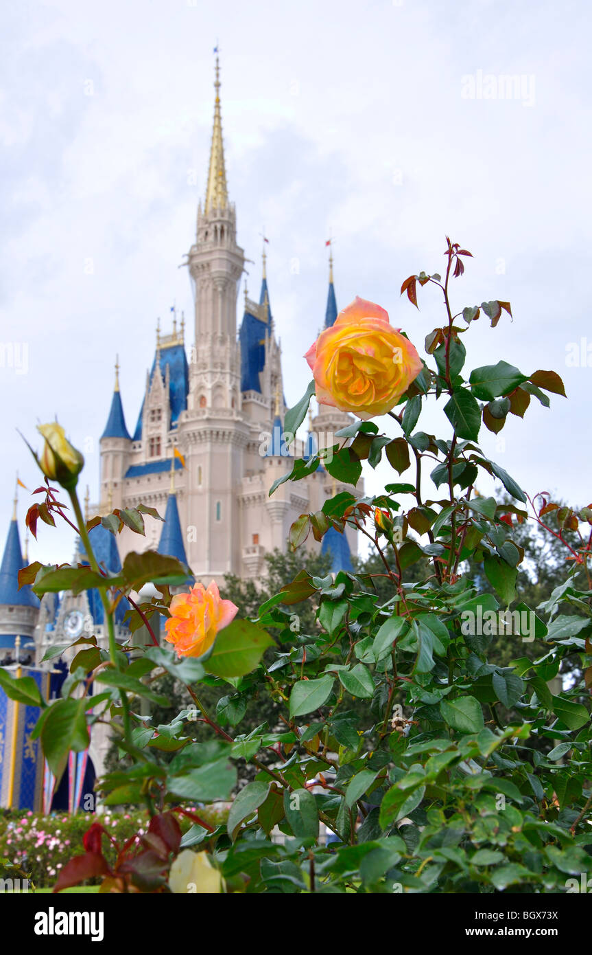 Disney castle america hi-res stock photography and images - Alamy