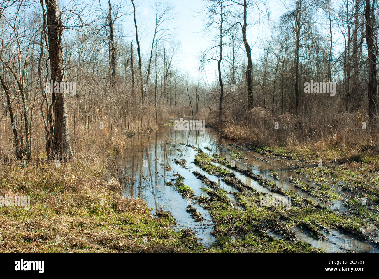 Rutted road hi-res stock photography and images - Alamy