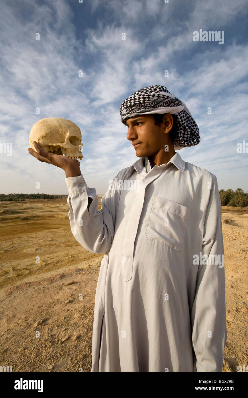 Male human skulls hi-res stock photography and images - Alamy