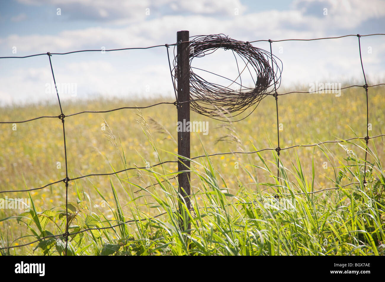 Role cloud hi-res stock photography and images - Alamy
