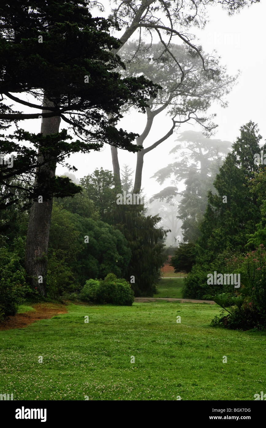 Botanical garden fog garden hi-res stock photography and images - Alamy
