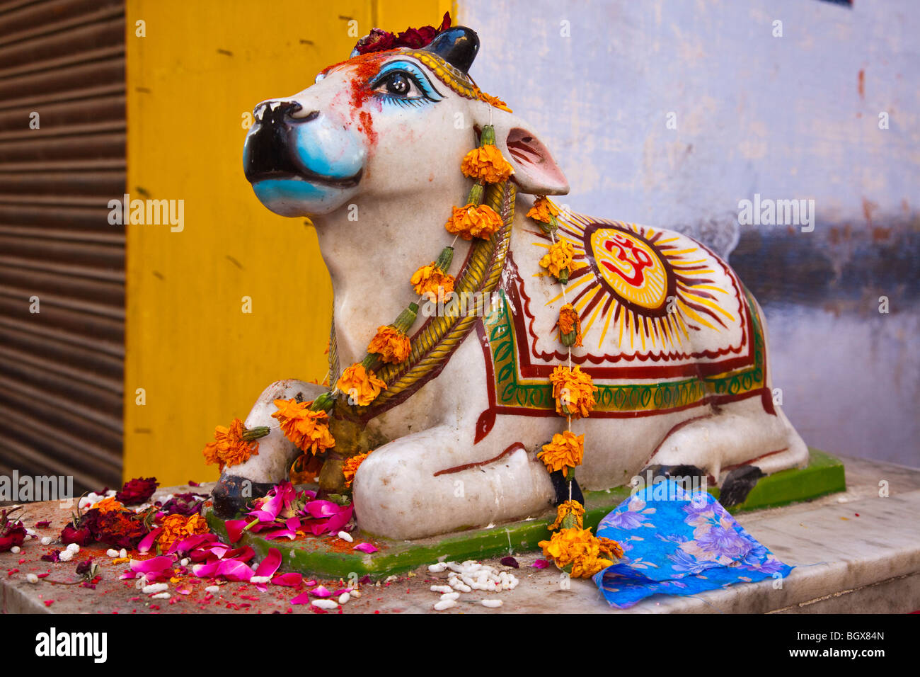 Nandi Bull Stock Photos & Nandi Bull Stock Images - Alamy