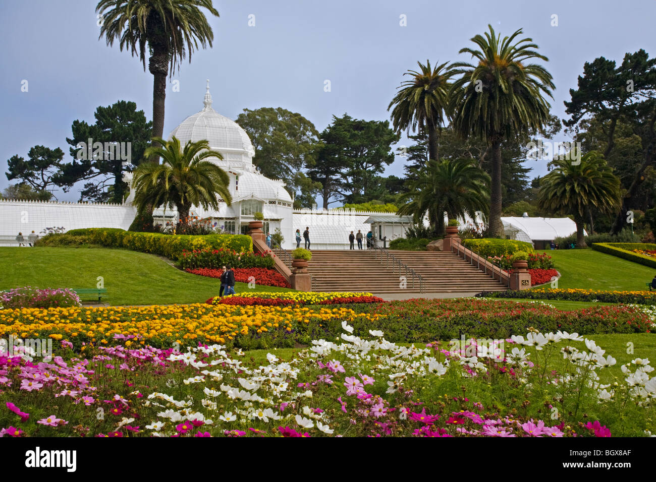 Greenhouse botanical garden san francisco hi-res stock photography and ...