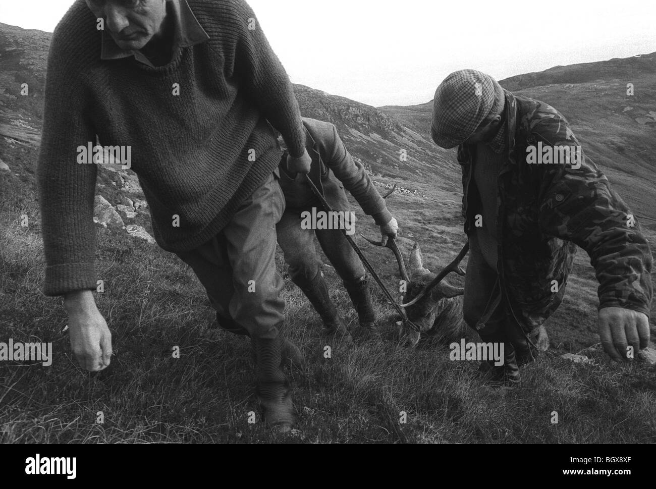 Deer stag stalking and hunting on Isle of Jura, Inner Hebrides ...