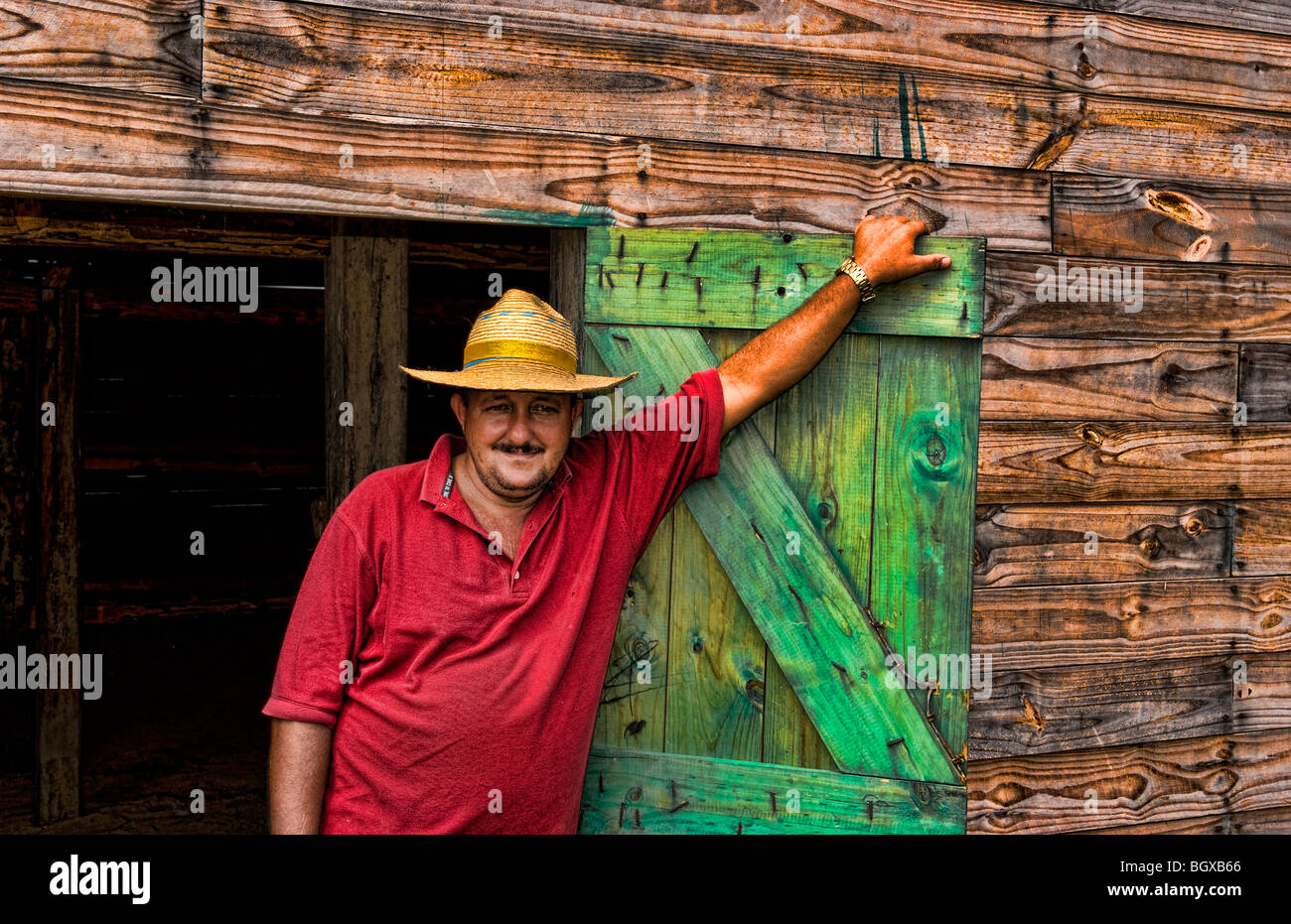 Farmer near barn to dry tobacco in tobacco fields in primitive methods ...